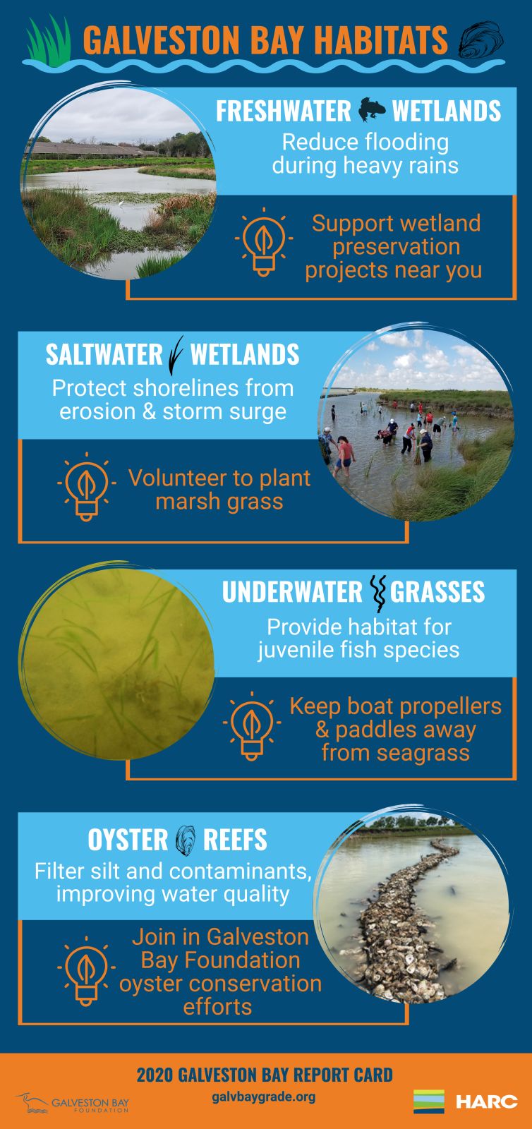 Habitat Summary | Galveston Bay Report Card
