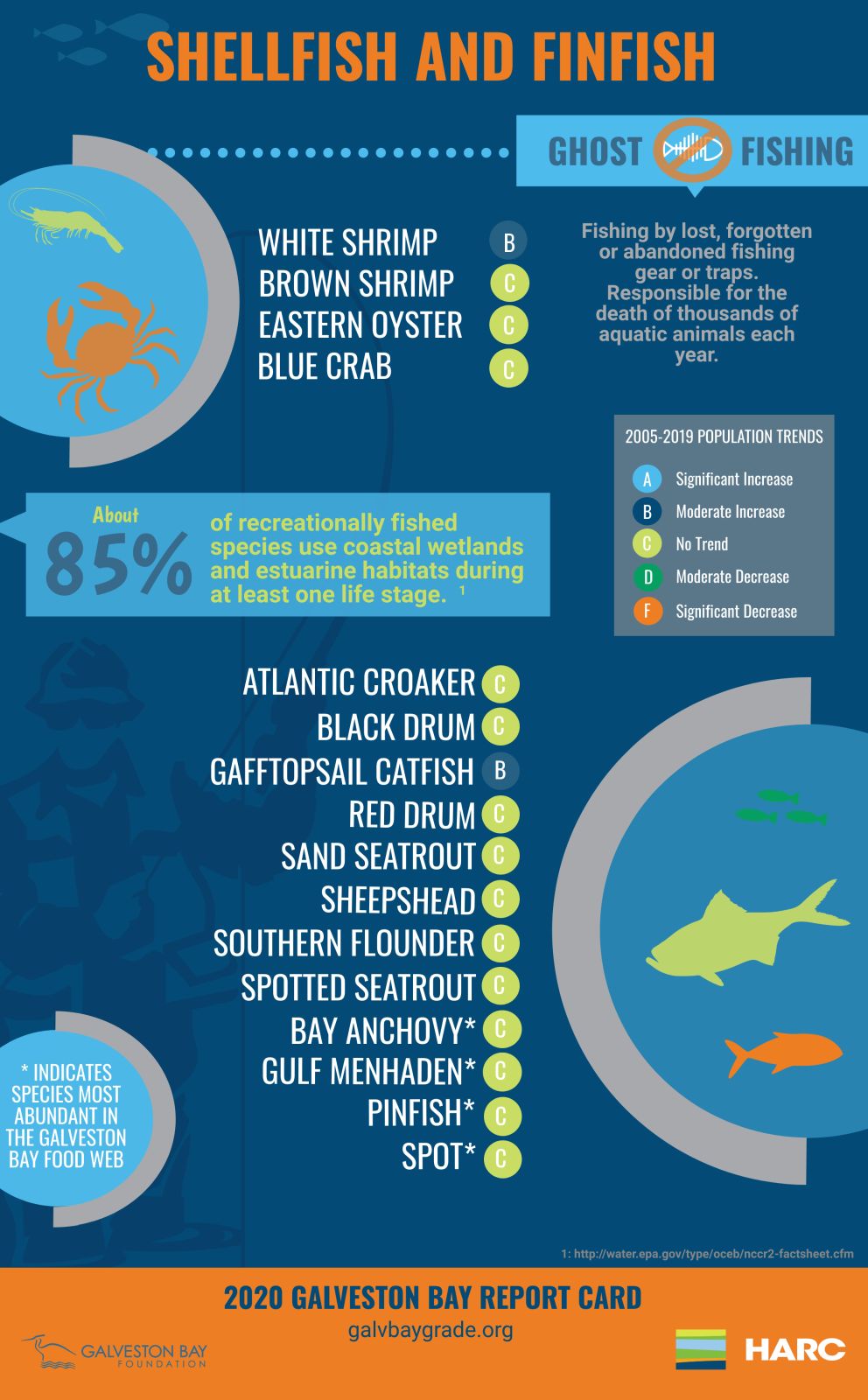 Wildlife Summary | Galveston Bay Report Card