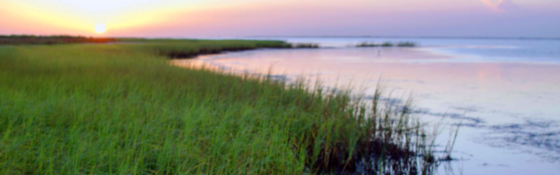Habitat Summary | Galveston Bay Report Card