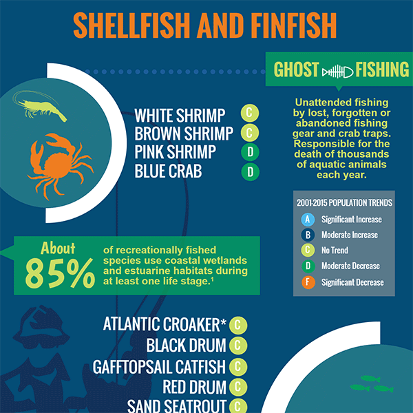 List 104+ Pictures Shellfish List With Pictures Completed