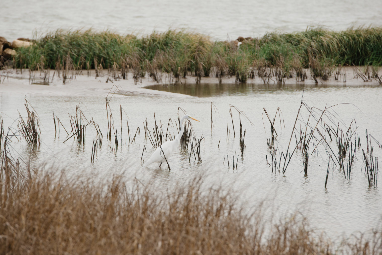 2023 Galveston Bay Report Card Summary | Galveston Bay Report Card